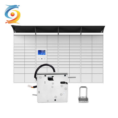 Corrosion Resistant Parcel Locker Locks For Secure Package Storage And ...
